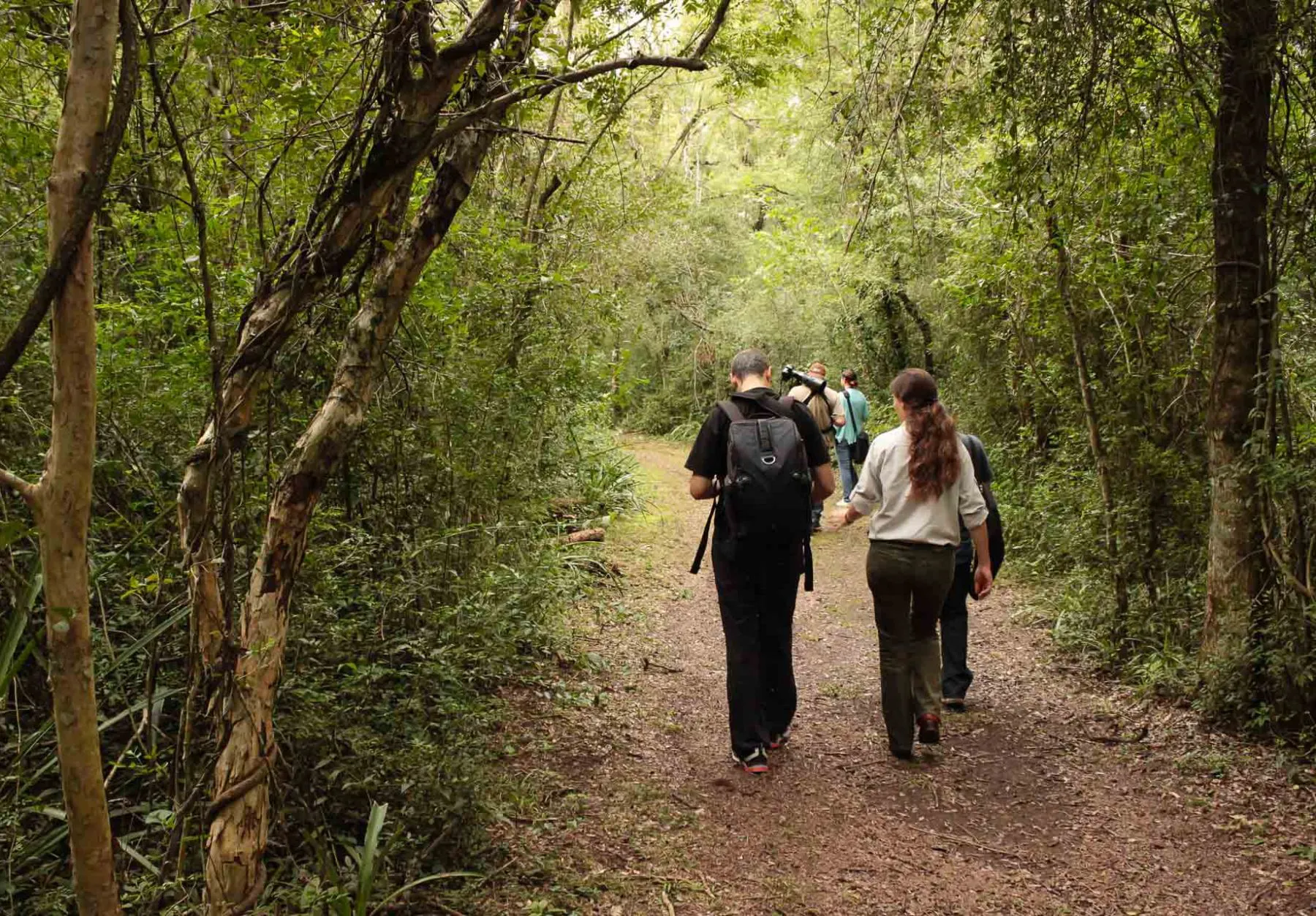 Parque Nacional El Rey, un destino acogedor y diferente en Salta